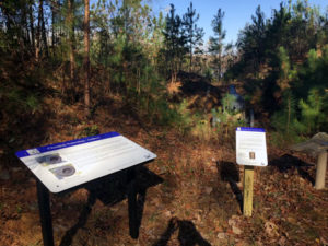 Interpretation of Fort Branch, NC - Blue and Gray Education Society